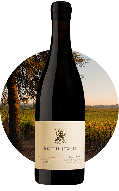 Home | Joseph Jewell Wines